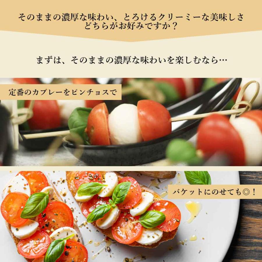 チーズ 水牛 の ボッコンチーニ ブッファラ 132g ファットリアビオ北海道 日本産 国産 モッツァレラ 一口サイズ ナチュラルチーズ : イタリア屋タニーチャ2 - 通販 - Yahoo ...