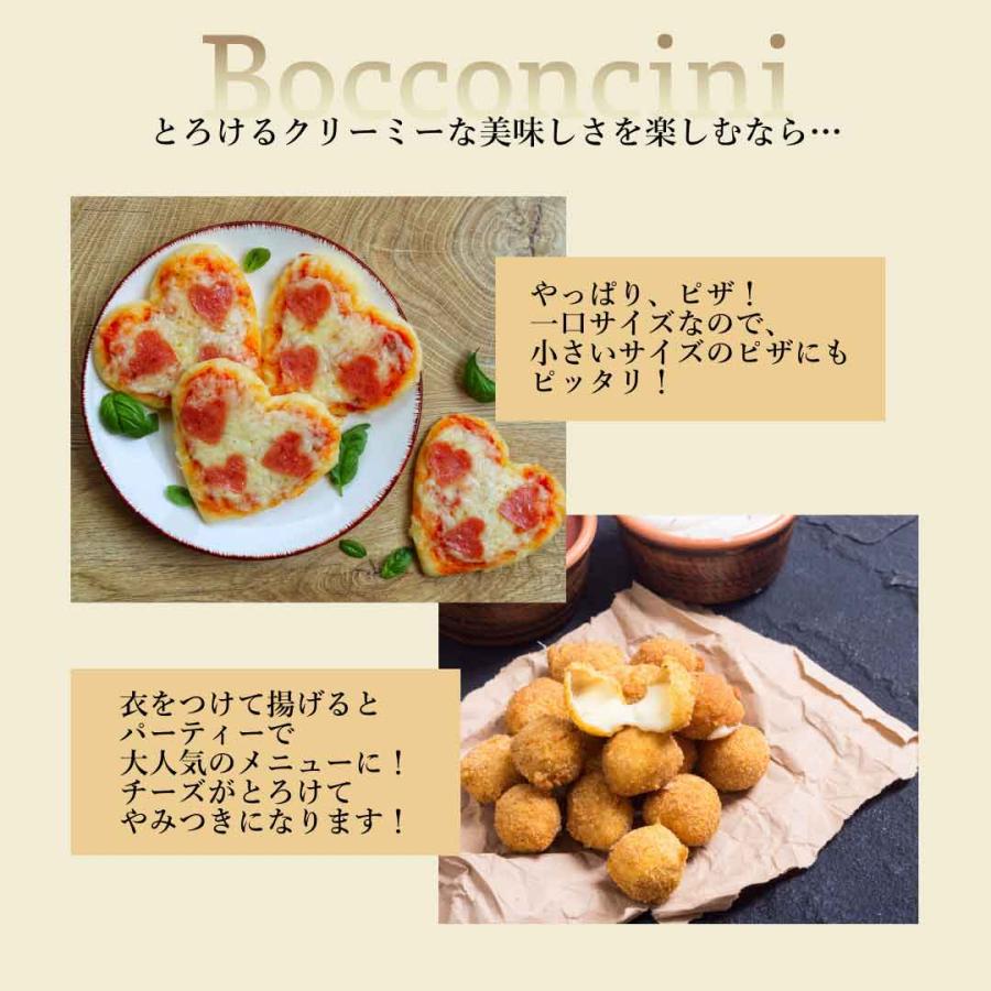 チーズ 水牛 の ボッコンチーニ ブッファラ 132g ファットリアビオ北海道 日本産 国産 モッツァレラ 一口サイズ ナチュラルチーズ : イタリア屋タニーチャ2 - 通販 - Yahoo ...