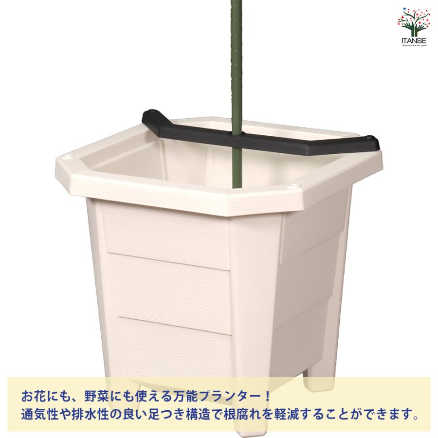 ITANSE 花と野菜のプランター ホワイト プラ鉢 300型/お買い得2個セット プランター かわいい おしゃれ 植木鉢 planter 寄せ植え : 野菜苗・植物・青果物販売のITANSE ...