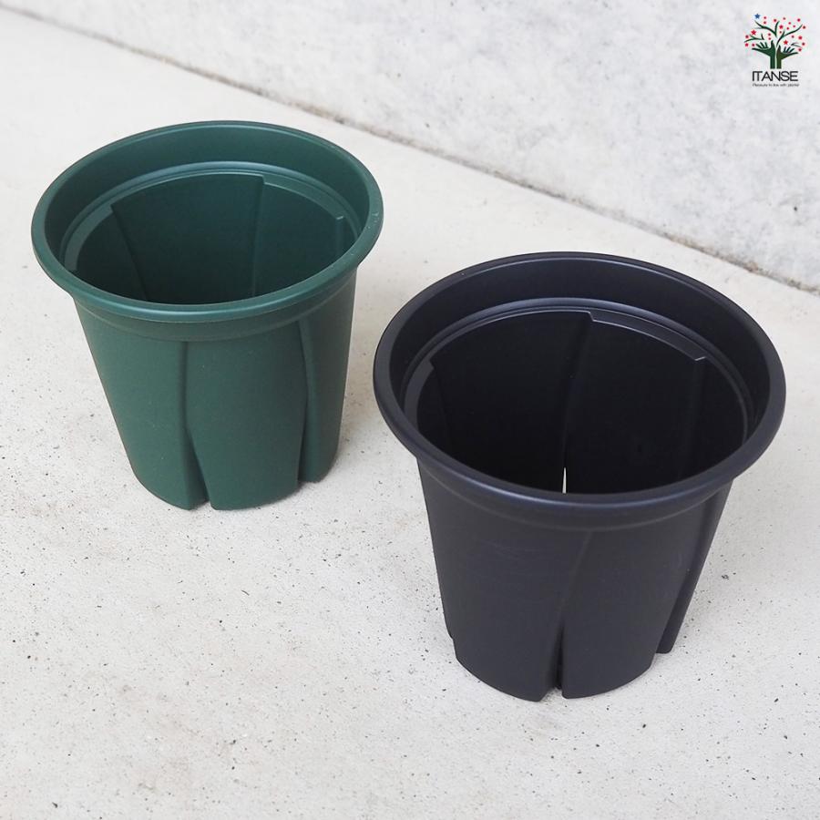 ITANSE 植木鉢 根っこつよし ブラック プラ鉢 4号/お買い得3個セット ハンドリーポット プランター かわいい おしゃれ : 野菜苗・植物・青果物販売のITANSE - 通販 ...