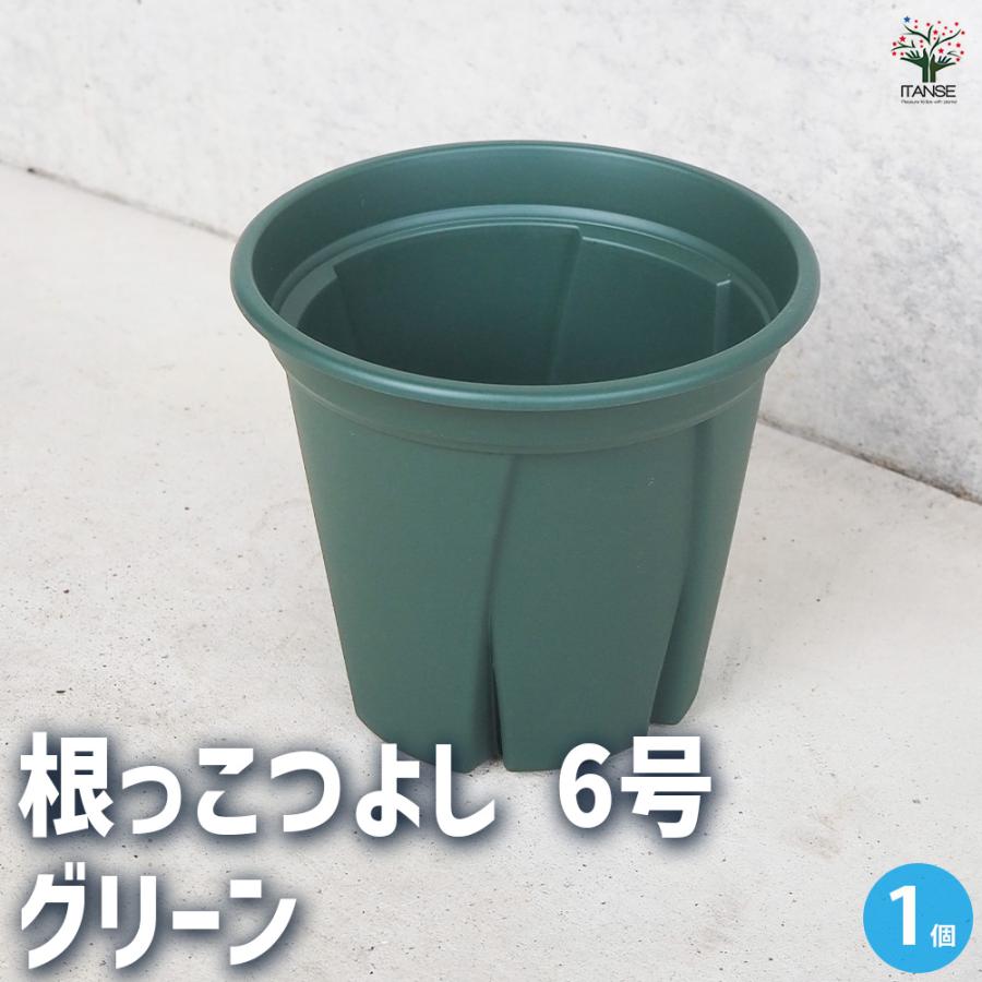 ITANSE 植木鉢 根っこつよし グリーン プラ鉢 6号/1個売り ハンドリーポット プランター かわいい おしゃれ : 野菜苗・植物・青果物販売のITANSE - 通販 - Yahoo ...