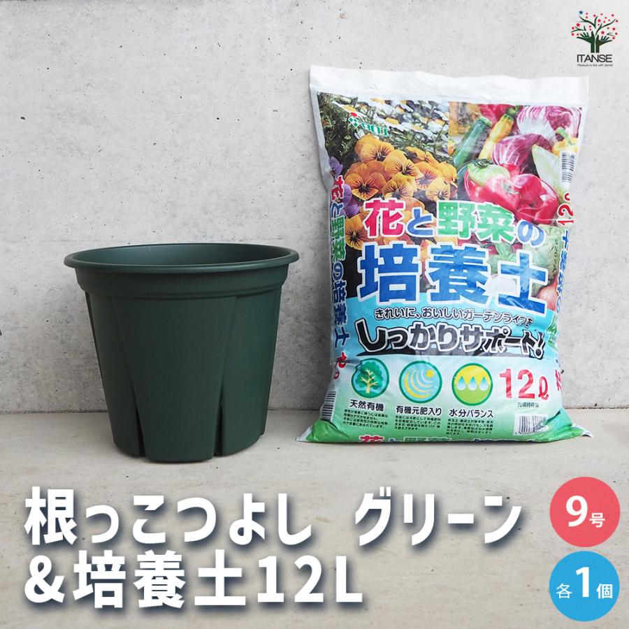 ITANSE 植木鉢 根っこつよし グリーン9号&培養土12L／各1個 プラ鉢 9号&培養土5L/1個売り ハンドリーポット : 野菜苗・植物・青果物販売のITANSE - 通販 ...