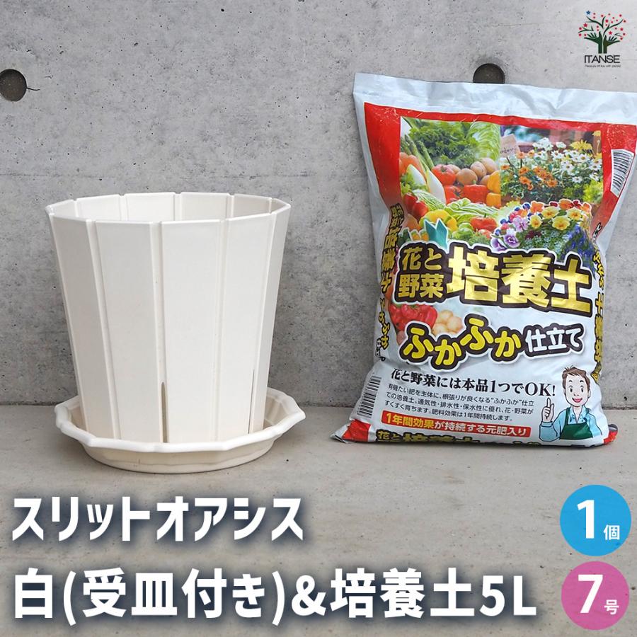 ITANSE 植木鉢 スリットオアシス 白(受皿付き)&培養土5L プラ鉢 7号&培養土5L/1個売り ハンドリーポット おしゃれ : 野菜苗・植物・青果物販売のITANSE - 通販 ...