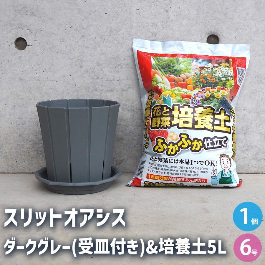 ITANSE 植木鉢 スリットオアシス ダークグレー(受皿付)&培養土5L プラ鉢 6号&培養土5L/1個売り ハンドリーポット : 野菜苗・植物・青果物販売のITANSE - 通販 ...