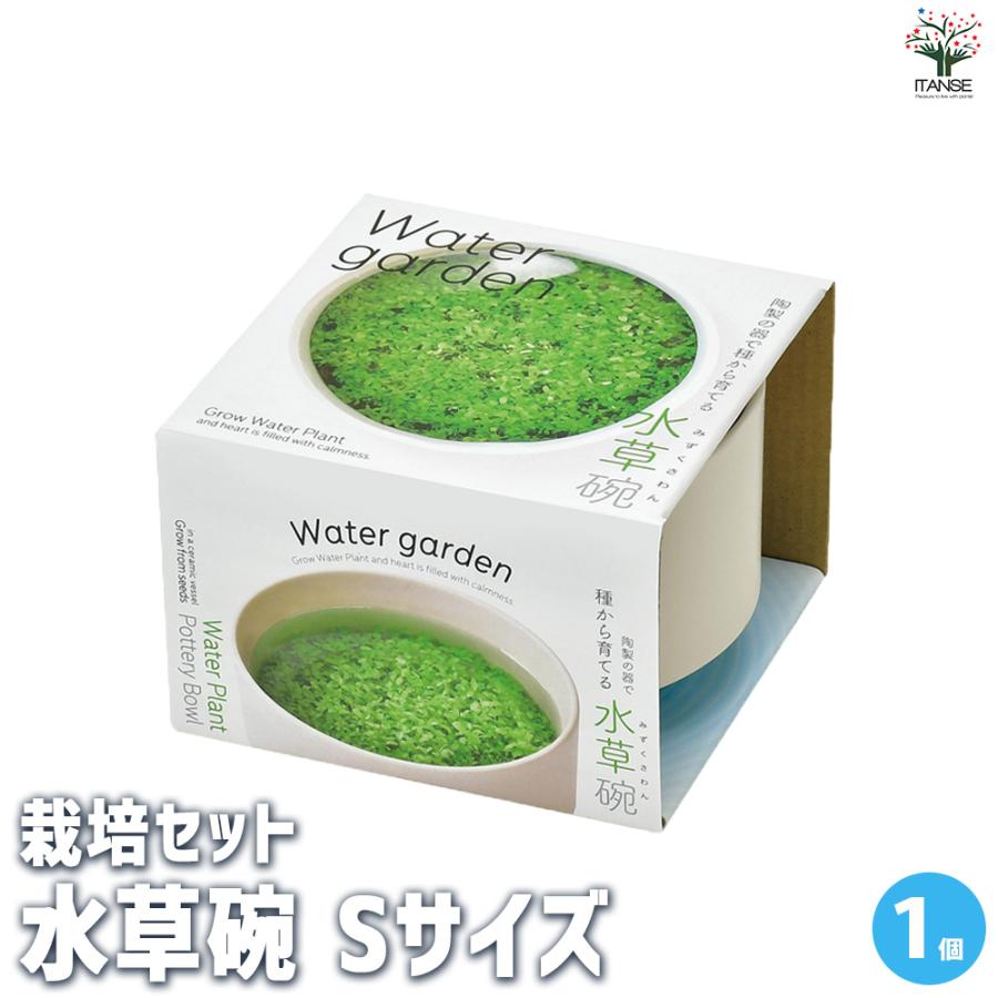 ITANSE 栽培セット 水草碗 Sサイズ/1個売り 簡単キット 栽培キット お手軽ガーデニング : 野菜苗・植物・青果物販売のITANSE - 通販 - Yahoo!ショッピング