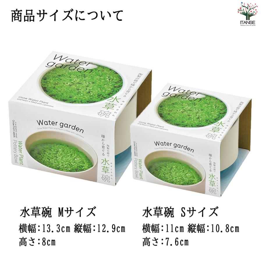 ITANSE 栽培セット 水草碗 Sサイズ/1個売り 簡単キット 栽培キット お手軽ガーデニング : 野菜苗・植物・青果物販売のITANSE - 通販 - Yahoo!ショッピング