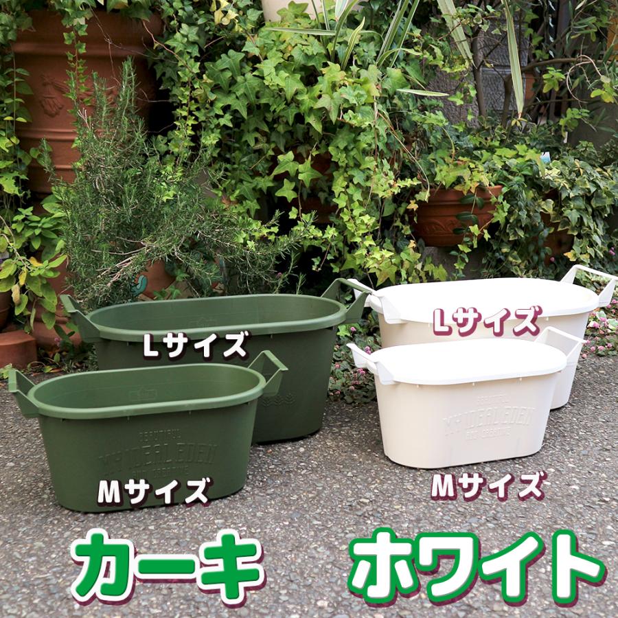 ITANSE いちご苗栽培セット(すずなりいちご9cmポット3個／取っ手付プランターM カーキ3個／培養土12L／鉢底石5L／いちごの肥料1個)送料無料 イタンセ公式 : 野菜苗・植物・青果物 ...