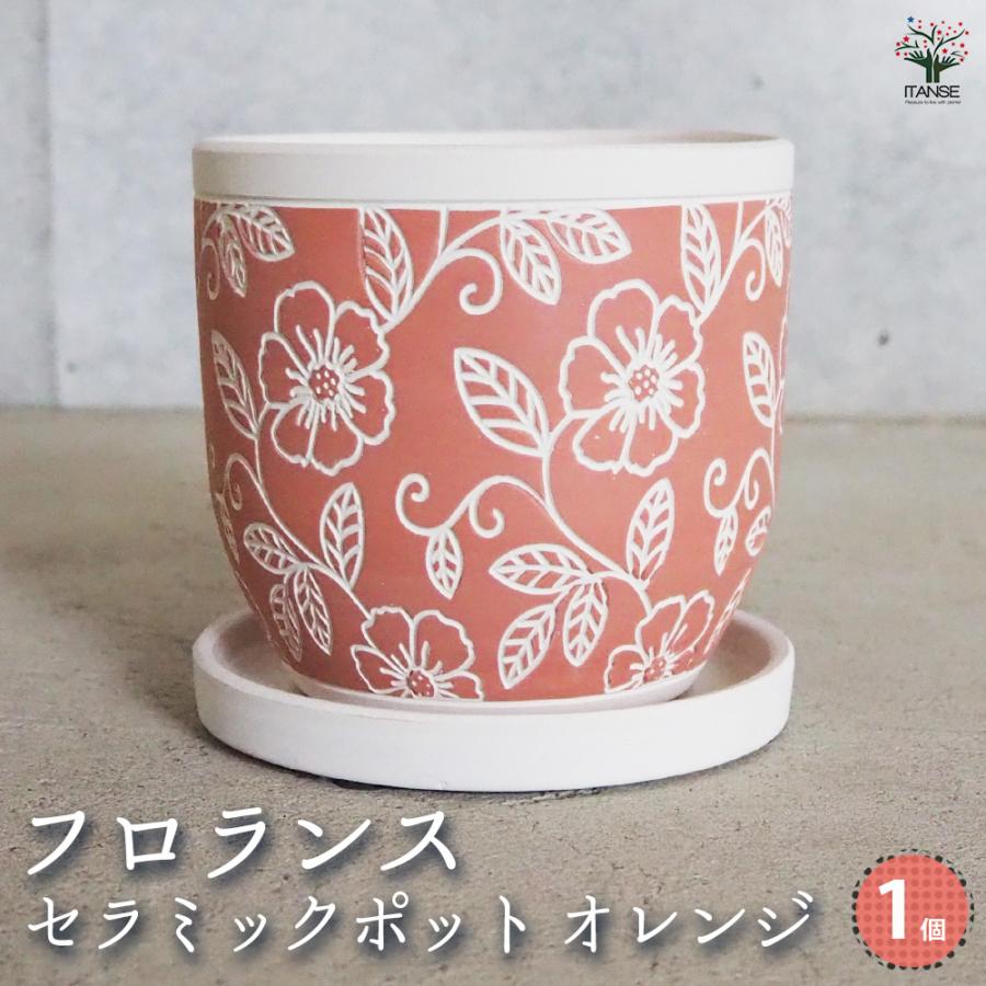 ITANSE 陶器鉢 フロランス C セラミックポット オレンジ /1個売り 植木鉢 鉢 鉢植え プランター 陶器 : 野菜苗・植物・青果物販売のITANSE - 通販 - Yahoo!ショッピング