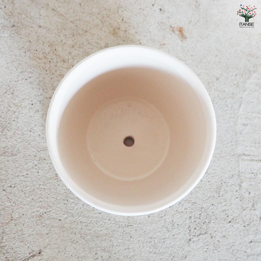 ITANSE 陶器鉢 フロランス C セラミックポット オレンジ /1個売り 植木鉢 鉢 鉢植え プランター 陶器 : 野菜苗・植物・青果物販売のITANSE - 通販 - Yahoo!ショッピング