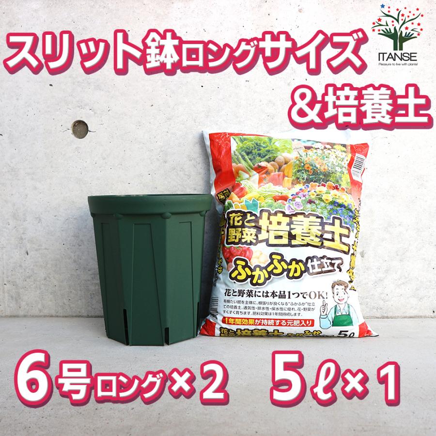 ITANSE スリット鉢 6号ロング＆花と野菜の培養土の園芸セット 6号ロングサイズ・培養土5L お買い得3個セット 家庭菜園 送料無料 イタンセ公式 : 野菜苗・植物・青果物販売の ...