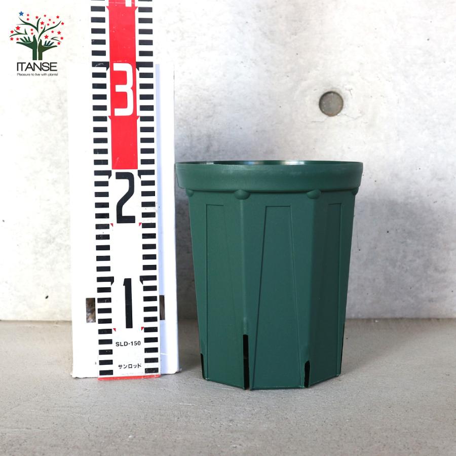 ITANSE スリット鉢 6号ロング＆花と野菜の培養土の園芸セット 6号ロングサイズ・培養土5L お買い得3個セット 家庭菜園 送料無料 イタンセ公式 : 野菜苗・植物・青果物販売の ...