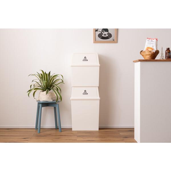 東谷 スタッキングペール30L ワイド LFS-767 ダストボックス ゴミ箱 トラッシュカン キッチン 分別 ゴミ 積み重ね可 : IT-com - 通販 - Yahoo!ショッピング