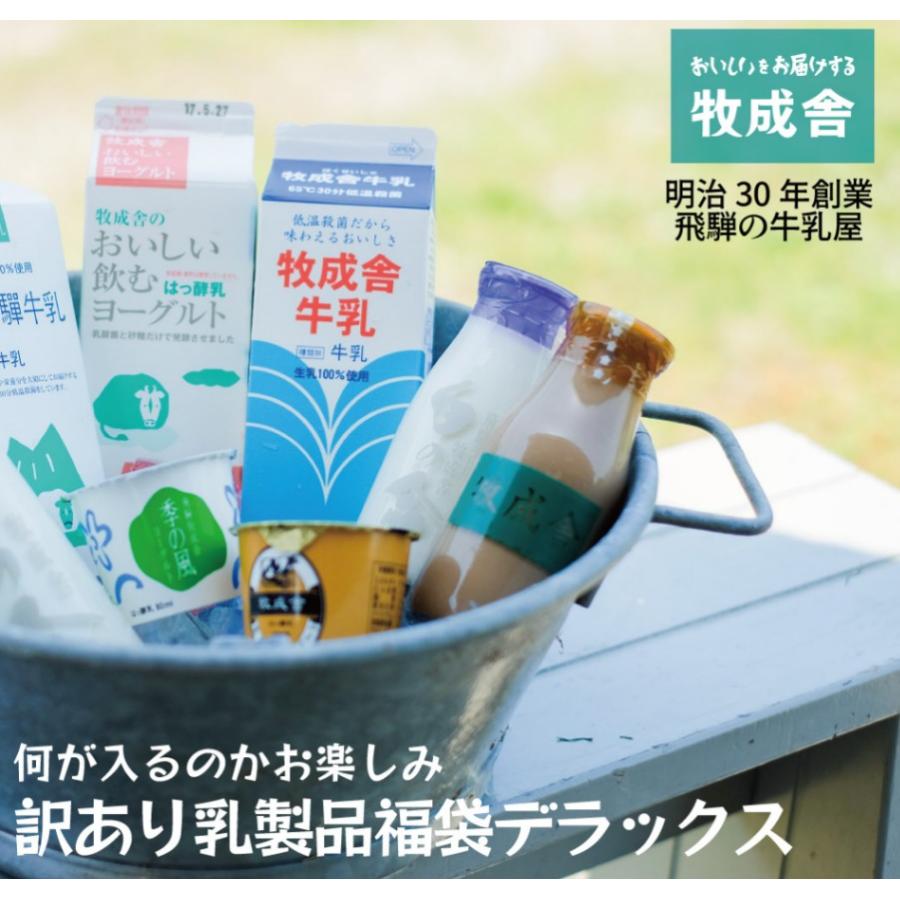 訳アリ福袋デラックスセット : shopooo by GMO - 通販 - Yahoo!ショッピング