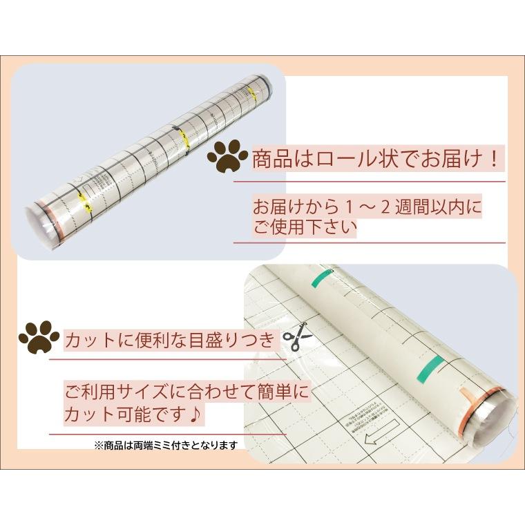 サンゲツ TH32005【15m/30m/道具付/道具無】選択 生のり付き壁紙 FAITH セット販売（購入単位：セット） :1-haroharo86-11348:shopooo by GMO ...