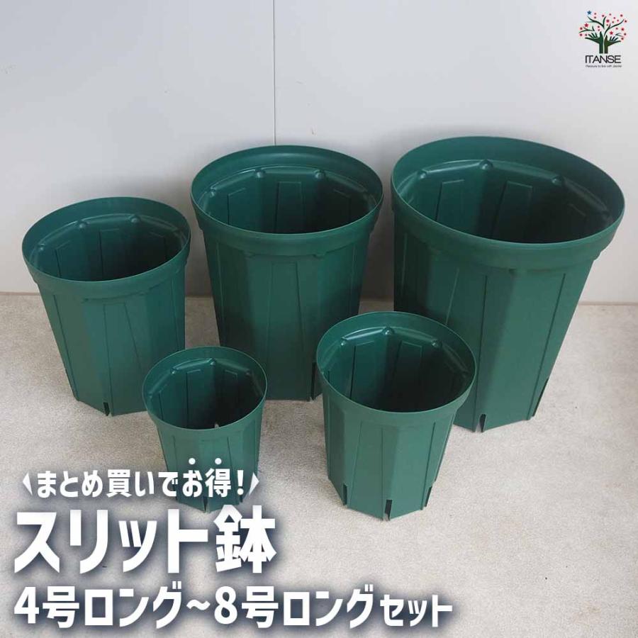 スリット鉢 4〜8号ロングセット 【プラ鉢 5種類／各1個】 : 1-itanse-11287 : shopooo by GMO - 通販 - Yahoo!ショッピング