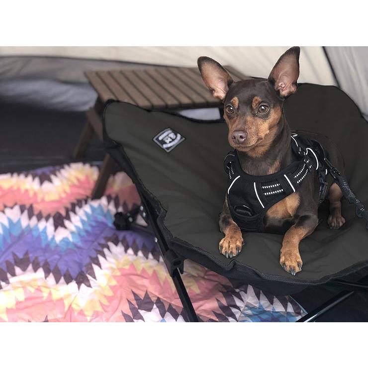 【送料無料】 5050WORKSHOP フィフティフィフティワークショップ withPET ANML COTT アニマルコット ドッグコット ...