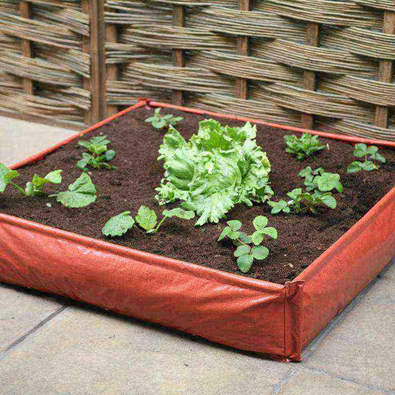 たためるプランター 正方形 大型 1m角 :1-wexthuset-749:shopooo by GMO - 通販 - Yahoo!ショッピング