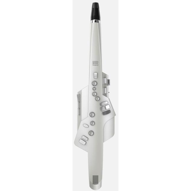 ローランド ROLAND Aerophone AE-10 : 伊藤楽器 松戸店 - 通販 - Yahoo!ショッピング