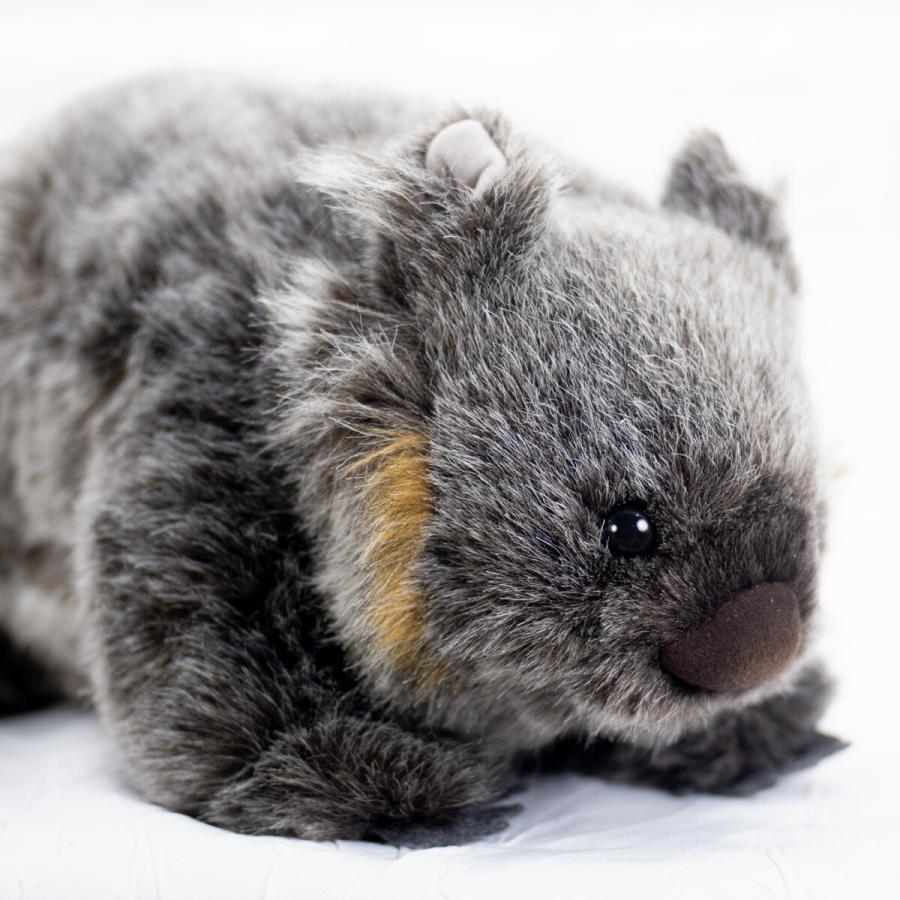 ケーセン ぬいぐるみ kosen ウォンバット 35cm WOMBAT リアル 動物 : テディベア専門店アイビールーム - 通販 - Yahoo!ショッピング