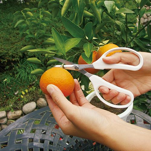 (メール便 可 3個まで) アルス ARS 園芸クラフトチョキ 白色 EG-330H-W : 岩内金物店 - 通販 - Yahoo!ショッピング