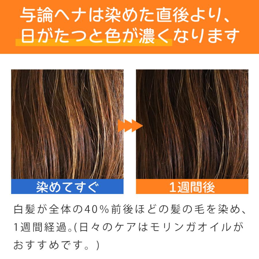 お試しサイズ 国産ヘナ 化粧品規格 与論島のヘナ農園が作りました 50g 1パック 約2回分 有機栽培 オレンジ系 100％ ヘナ 白髪染め カラー ヘナカラー 市販 天然 :0129-50 ...