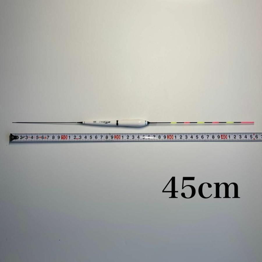 棒ウキ 2号 2本セット 6点発光 LED電気ウキ へらウキ グレ メジナ 夜釣り へら浮き ヘラウキ チヌ E07 ヒットセンサー内蔵 : 伊豆おかっぱり釣り だいちゃん - 通販 ...