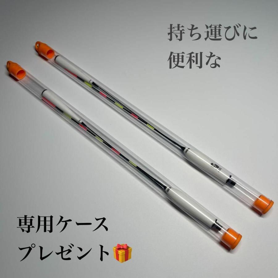 棒ウキ 2号 2本セット 6点発光 LED電気ウキ へらウキ グレ メジナ 夜釣り へら浮き ヘラウキ チヌ E07 ヒットセンサー内蔵 : 伊豆おかっぱり釣り だいちゃん - 通販 ...