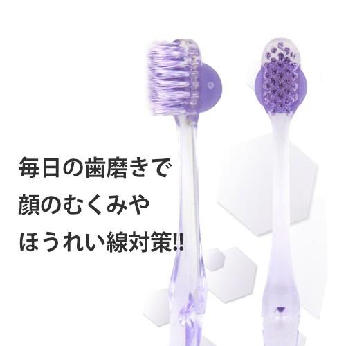 コブラシ 3本セット cobrush 歯磨き 歯ブラシ デンタルケア 美容歯ブラシ マッサージ【47500】 : ジャパンコスメYahoo!店 - 通販 - Yahoo!ショッピング