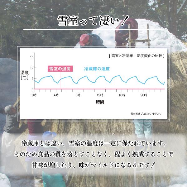 北海道産 じゃがいも 雪室仕込み ポテト ジャガイモ 甘い 5kg（L〜M） : 上越フルーツヤフー店 - 通販 - Yahoo!ショッピング