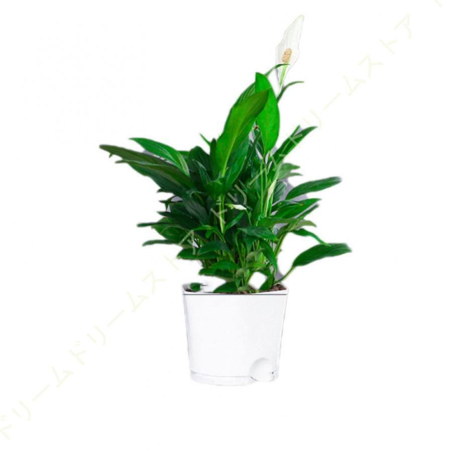 植木鉢 鉢植え プラスチック 自動吸水植木鉢 小さめ おしゃれ プランター 底面給水鉢 多底穴付き 自動給水 円形 現代風 フラワーポット 室内 観葉植物 ハーブ : ly0501-00928 ...