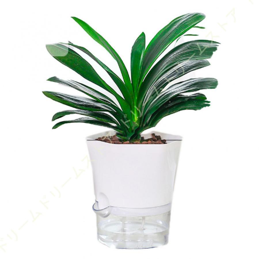 植木鉢 鉢植え プラスチック 自動吸水植木鉢 小さめ おしゃれ プランター 底面給水鉢 多底穴付き 自動給水 円形 現代風 フラワーポット 室内 観葉植物 ハーブ : ly0501-00928 ...