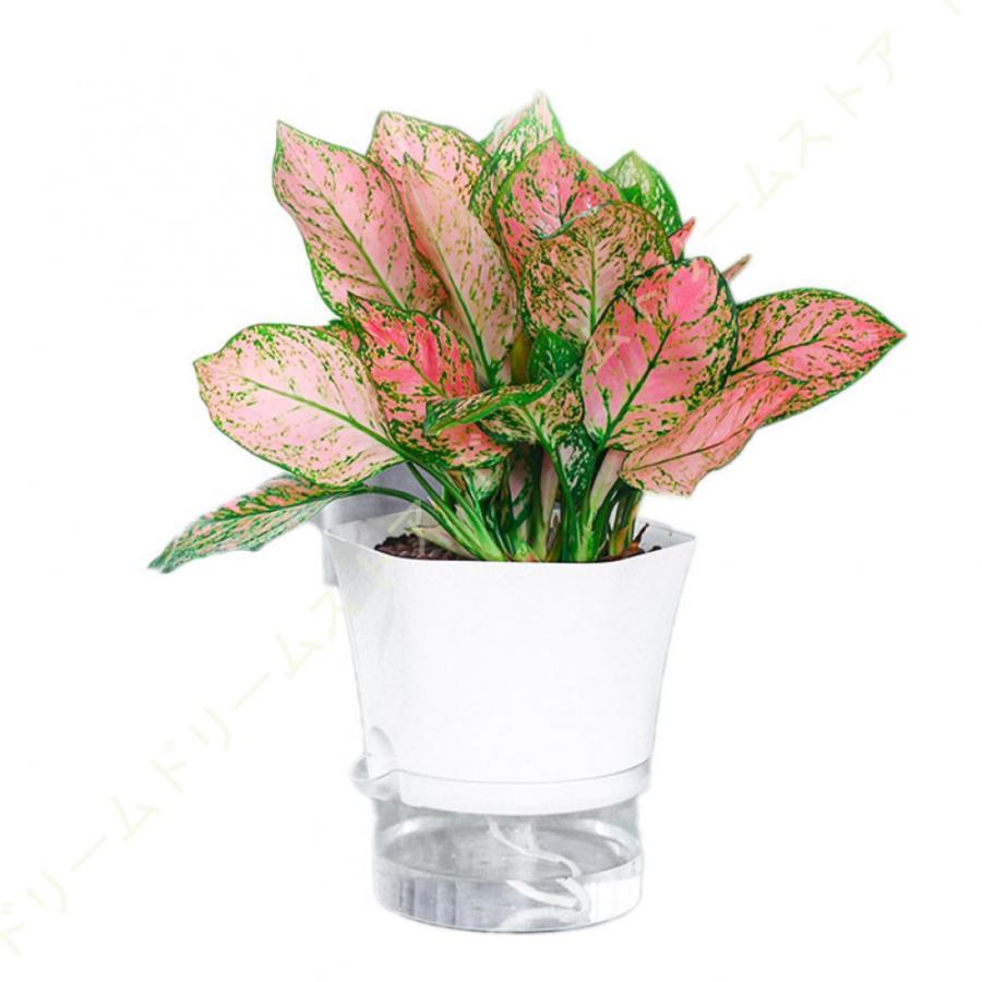 植木鉢 鉢植え プラスチック 自動吸水植木鉢 小さめ おしゃれ プランター 底面給水鉢 多底穴付き 自動給水 円形 現代風 フラワーポット 室内 観葉植物 ハーブ : ly0501-00928 ...