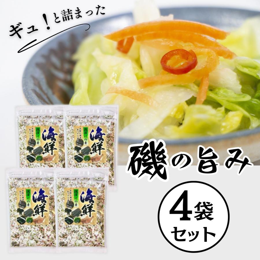 丸山食品 海鮮浅漬けの素 220g 4袋セット 国産 手軽に簡単あっさり漬け お漬け物 漬け塩 お茶漬け 調味料 : J&Aマート - 通販 - Yahoo!ショッピング