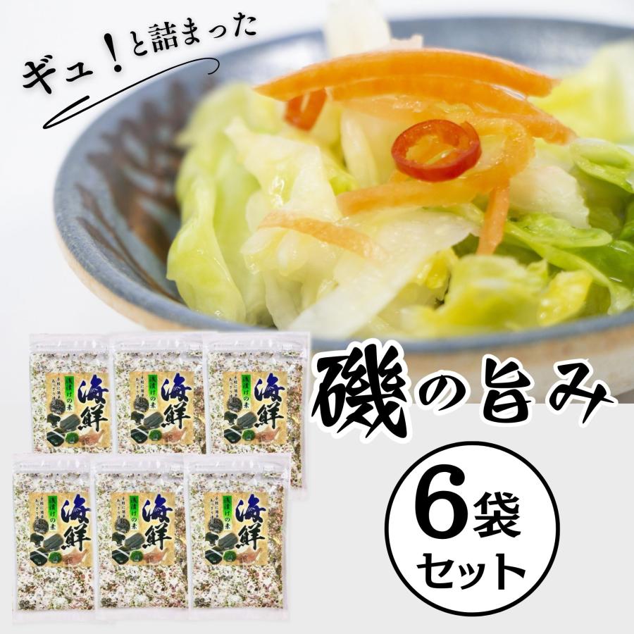 丸山食品 海鮮浅漬けの素 220g 6袋セット 国産 手軽に簡単あっさり漬け お漬け物 漬け塩 お茶漬け 調味料 : mk0088 : J&Aマート - 通販 - Yahoo!ショッピング