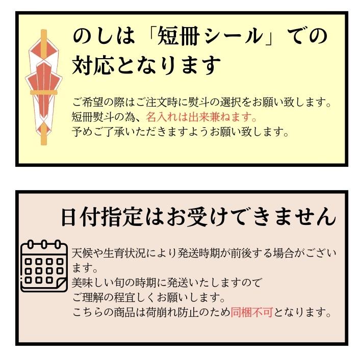ぶどう ナガノパープル 約2kg(3〜5房) Y004 （冷蔵）※8月下旬〜発送予定 : JAみなみ信州 - 通販 - Yahoo!ショッピング