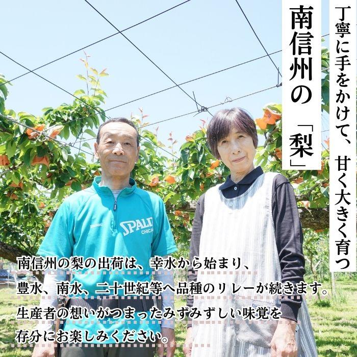 梨 幸水 【太鼓判】約2.2kg(7玉) Y211 ※8月下旬〜発送予定 なし ナシ フルーツ くだもの 果物 :Y211:JAみなみ信州 - 通販 - Yahoo!ショッピング
