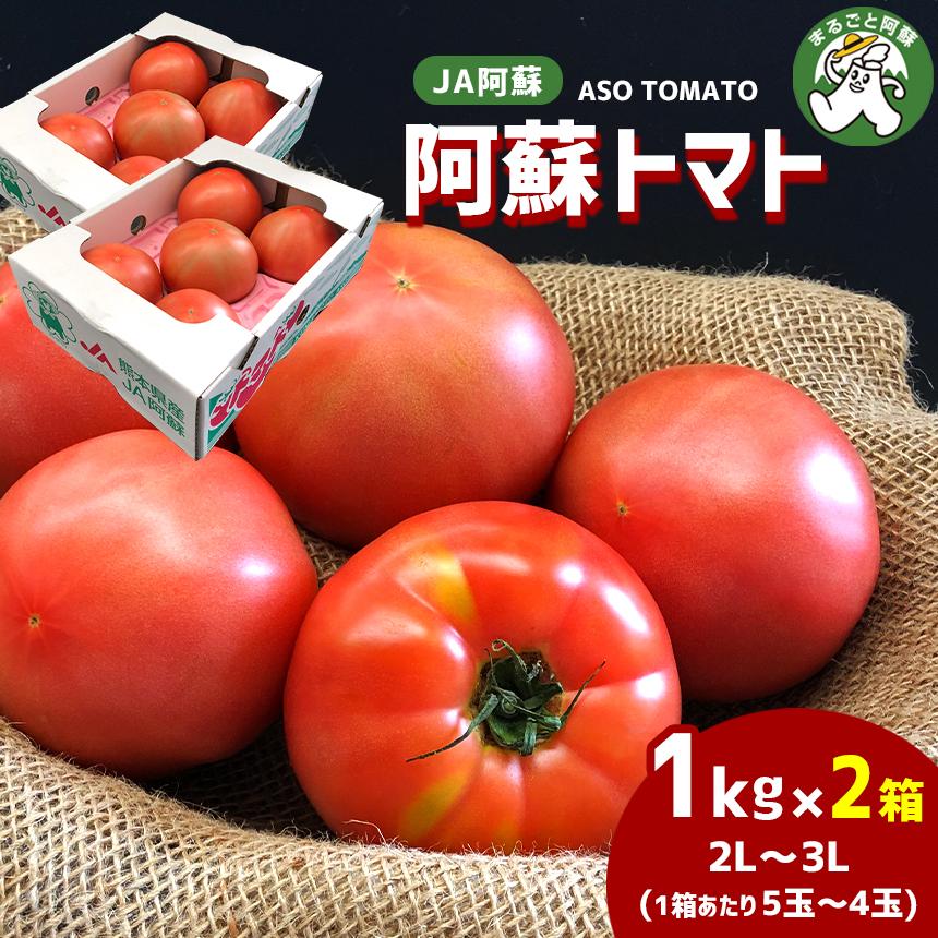 JA阿蘇 阿蘇トマト 2kg (1kg×2箱) 2L〜3L 秀品 1箱あたり5玉〜4玉 大玉トマト 冷蔵便 : JA熊本経済連Yahoo!Shop - 通販 - Yahoo!ショッピング
