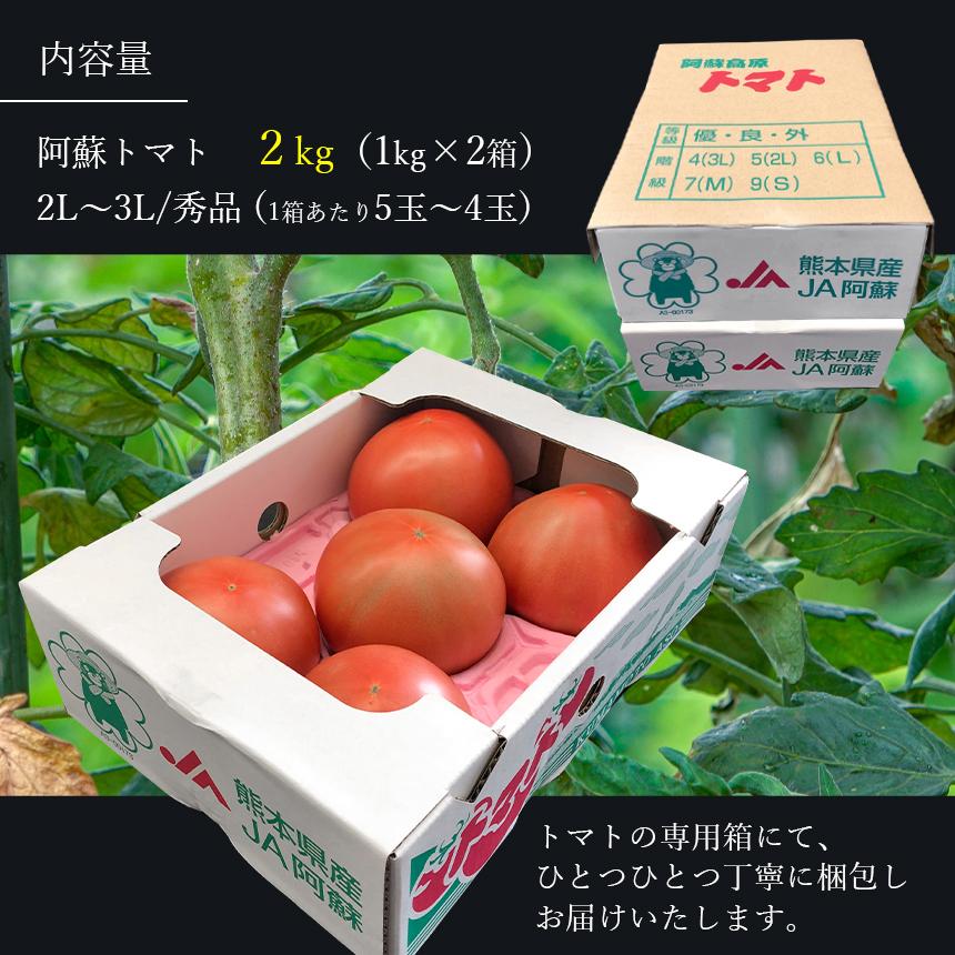 JA阿蘇 阿蘇トマト 2kg (1kg×2箱) 2L〜3L 秀品 1箱あたり5玉〜4玉 大玉トマト 冷蔵便 : JA熊本経済連Yahoo!Shop - 通販 - Yahoo!ショッピング