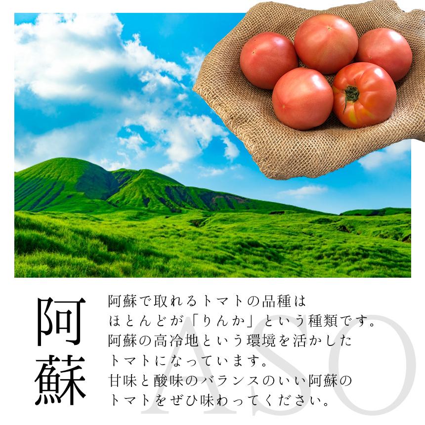 JA阿蘇 阿蘇トマト 3kg (1kg×3箱) 2L〜3L 秀品 1箱あたり5玉〜4玉 大玉トマト 冷蔵便 : JA熊本経済連Yahoo!Shop - 通販 - Yahoo!ショッピング