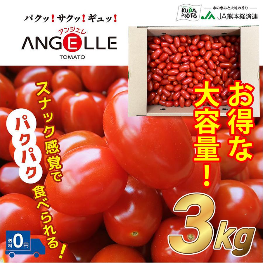 熊本県産 アンジェレ ミニトマト 3kg 大箱 大容量 : yasai0005 : JA熊本経済連Yahoo!Shop - 通販 - Yahoo!ショッピング