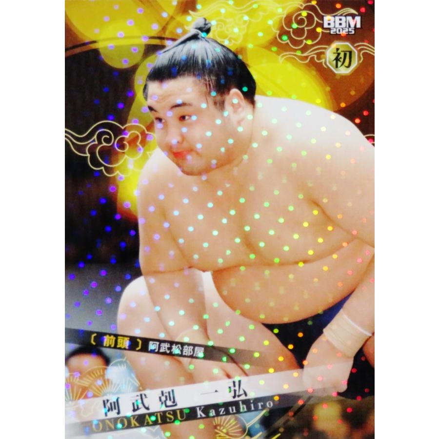 37 【阿武剋 一弘(初)】BBM2025 大相撲カード レギュラーパラレル : 25sumo-37hp : スポーツカード ジャンバラヤ - 通販 - Yahoo!ショッピング
