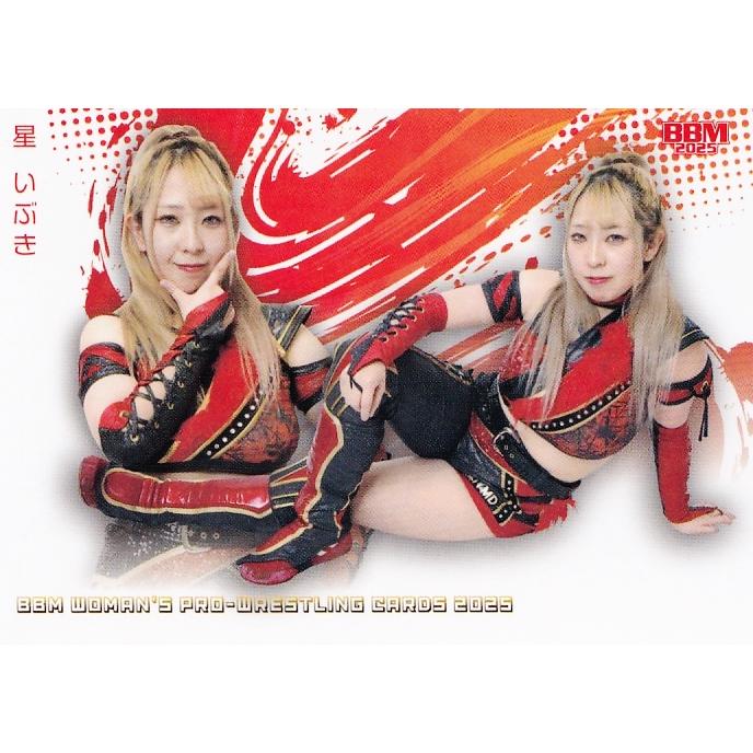 112 【星いぶき】BBM 女子プロレスカード 2025 レギュラー : スポーツカード ジャンバラヤ - 通販 - Yahoo!ショッピング