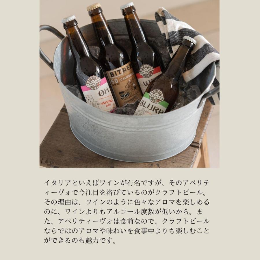 ギフト クラフトビール ビール Bitrex50 330ml 24本 送料無料 イタリア イタリア直輸入 イタリアビール : ぷらっとイタリア - 通販 - Yahoo!ショッピング