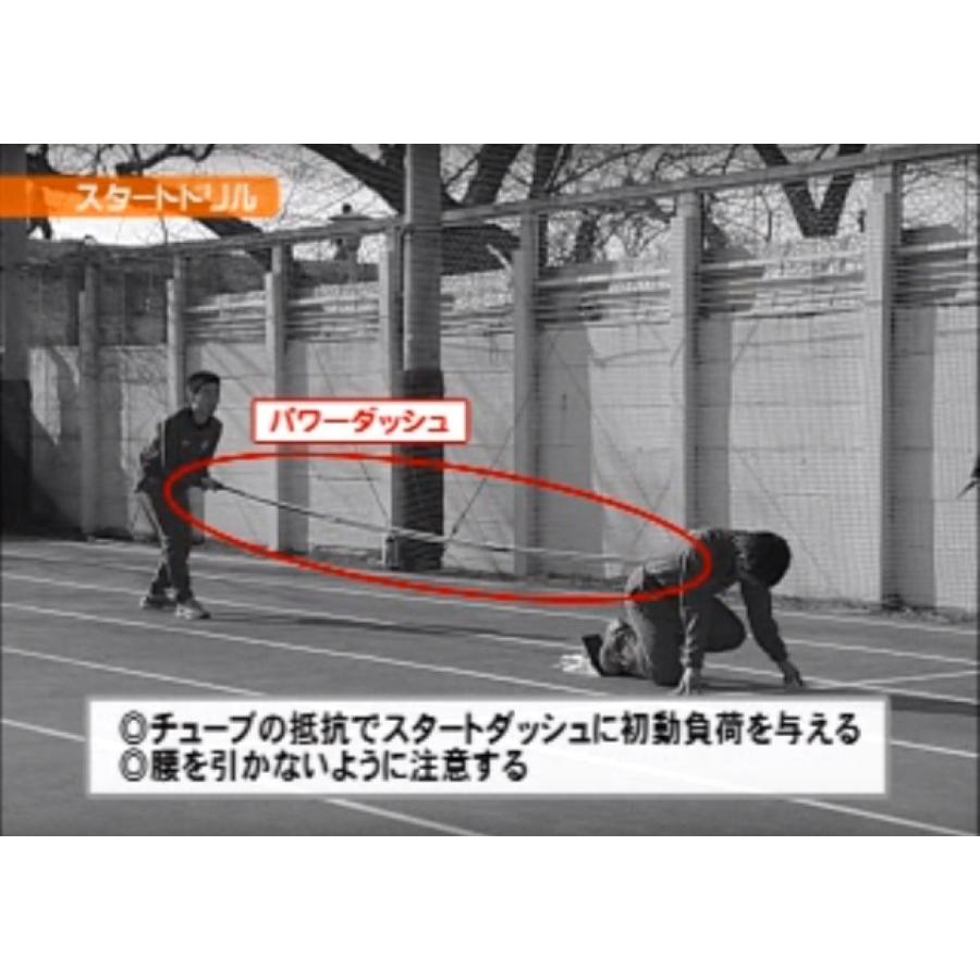 ジャパンライム The Sprinters Basic Training DVD 陸上 東京高校 スプリント ダイナマックス 635-S 全1巻 : ジャパンライム株式会社 - 通販 ...