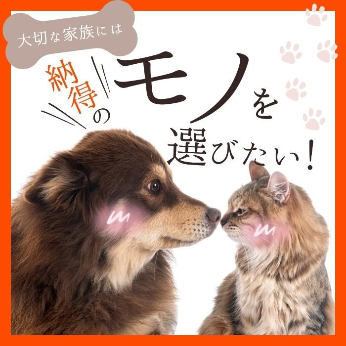 JBP プラセンタEQパウダー 30粒入 30日分 動物病院流通品 犬・猫用 サプリメント 免疫力 国産 日本生物製剤公式 プラセンタ : item-03 : JBP公式オンラインショップ ...