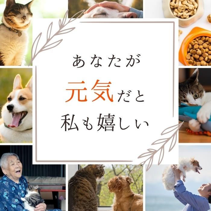 JBP プラセンタEQパウダー 30粒入 30日分 動物病院流通品 犬・猫用 サプリメント 免疫力 国産 日本生物製剤公式 プラセンタ : item-03 : JBP公式オンラインショップ ...