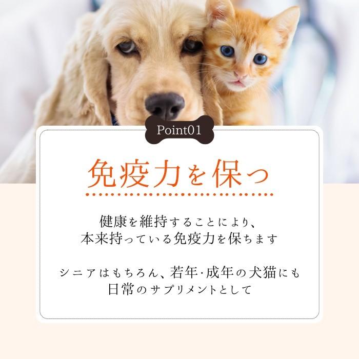 JBP プラセンタEQパウダー 30粒入 30日分 動物病院流通品 犬・猫用 サプリメント 免疫力 国産 日本生物製剤公式 プラセンタ : item-03 : JBP公式オンラインショップ ...