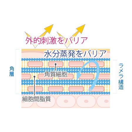 LNC リペアリング クリーム 35g 乾燥肌 送料無料 医療機関流通品 プラセンタ ラエンネック 国産 JBP : JBP公式オンラインショップ - 通販 - Yahoo!ショッピング