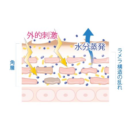 LNC リペアリング クリーム 35g 乾燥肌 送料無料 医療機関流通品 プラセンタ ラエンネック 国産 JBP : JBP公式オンラインショップ - 通販 - Yahoo!ショッピング