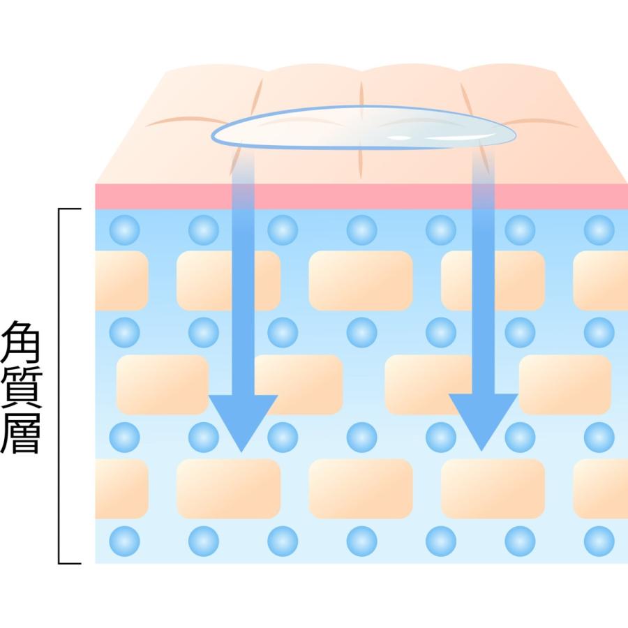 LNC トーニング ローション 化粧水 120mL 普通肌 送料無料 医療機関流通品 保湿 透明感 国産 JBP プラセンタ : JBP公式オンラインショップ - 通販 - Yahoo!ショッピング